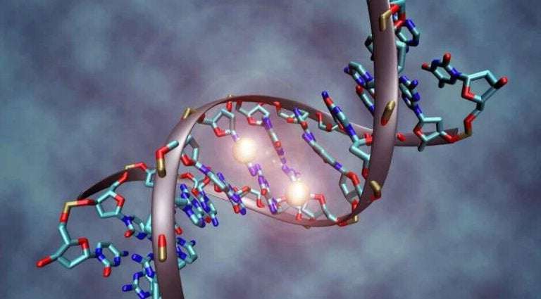 Πώς το Μιτοχονδριακό DNA Αλλάζει το Ανθρώπινο Γονιδίωμα; | Υγεία & Ομορφιά